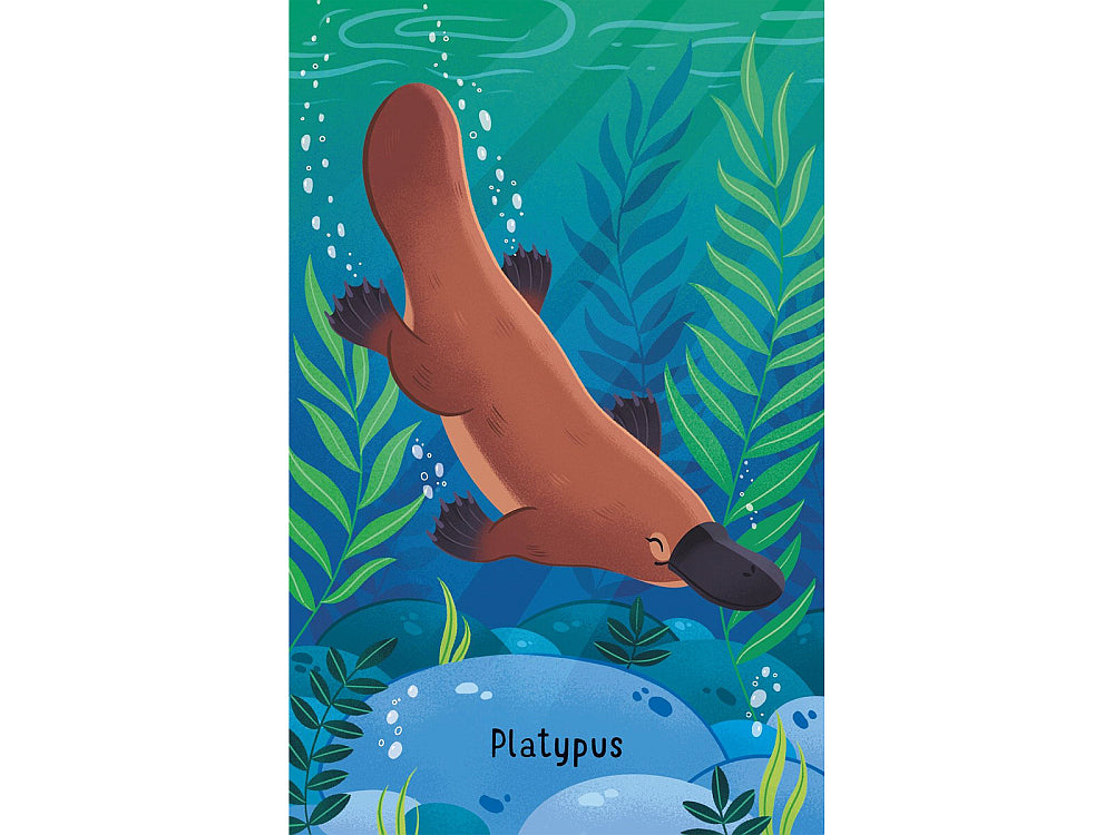 Card Game Australian Animals Snap – The Christmas Shop